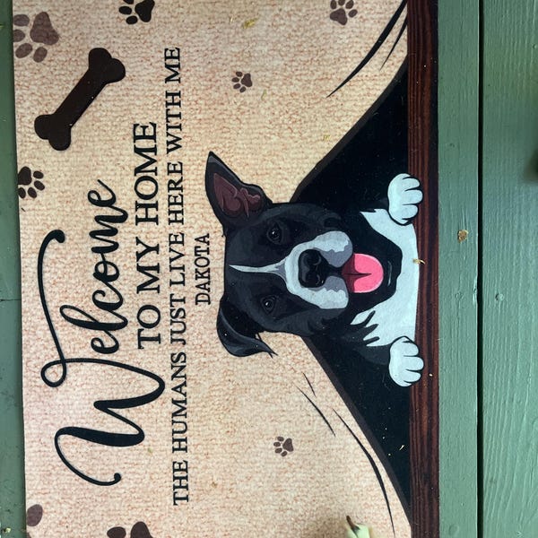 Personalized Dog Cat Doormat, Custom Pet Welcome Mat, Funny Dog Mat ...