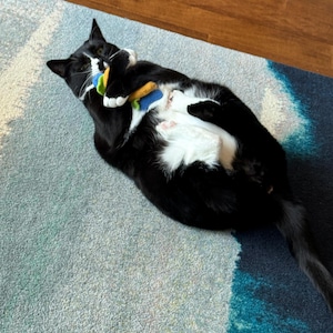 Catnip Cannoli Cat Toy - Etsy