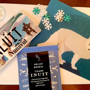 Postcard From the Arctic: Hello From Iqaluit, Nunavut, Polar Pen Pal ...