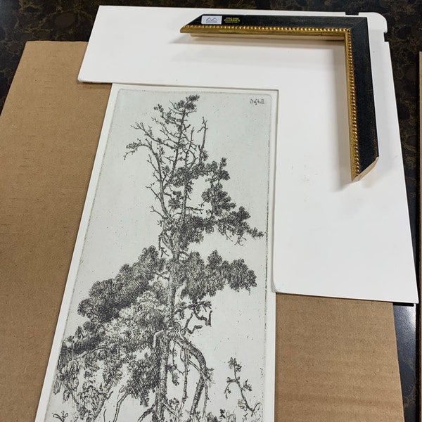 Trees Etching 4. Botanical Art Print. Vintage Tree Print. Tree Etching ...