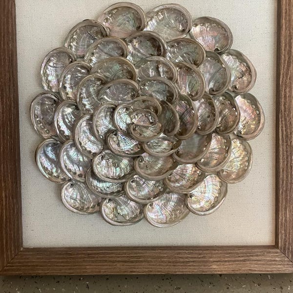 Red Abalone Art, Shell Wall Art, 3D Shell Art, Coastal Shell Art ...