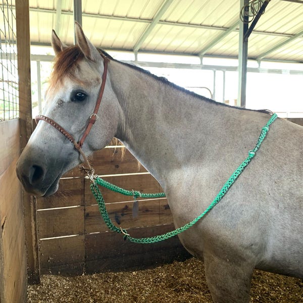 Create Your Own Custom 9 Strand Braided Paracord Barrel Reins Horse ...