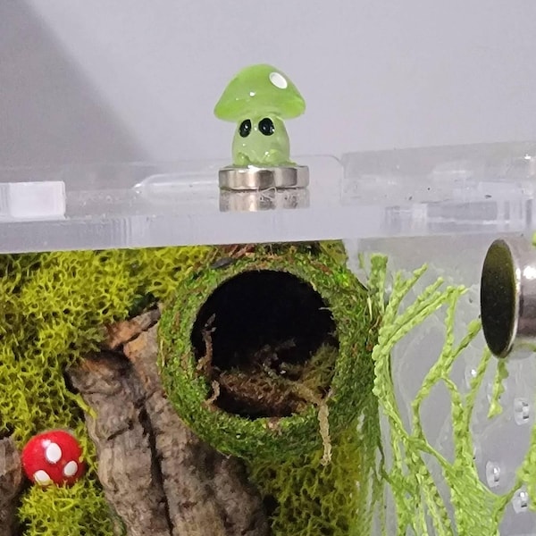 Cocoon Hide | Magnetic Spider Enclosure Decor - Etsy