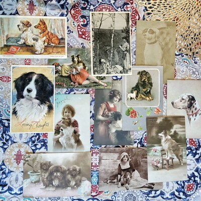 1902 French Little Girls & China Dolls Antique Real Photo Postcard Hand ...