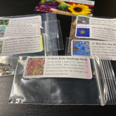 50 ROSE ROBE SAXIFRAGA Saxifraga Arendsii Mossy Rockfoil Evergreen ...