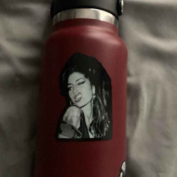 Britney Spears Stickers Set #3 | Freebritney Collection | 3” Stickers ...