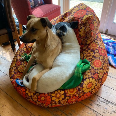 Groovy Flowers Bean Bag Chair Adult Waterproof Bean Bag Cover 70s ...