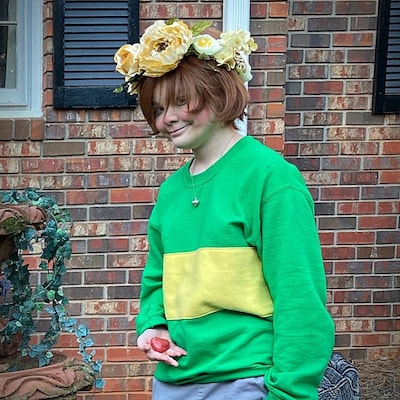 Chara Shirt, Undertale Shirt, Chara Sweatshirt, Costume, Cosplay Shirt ...