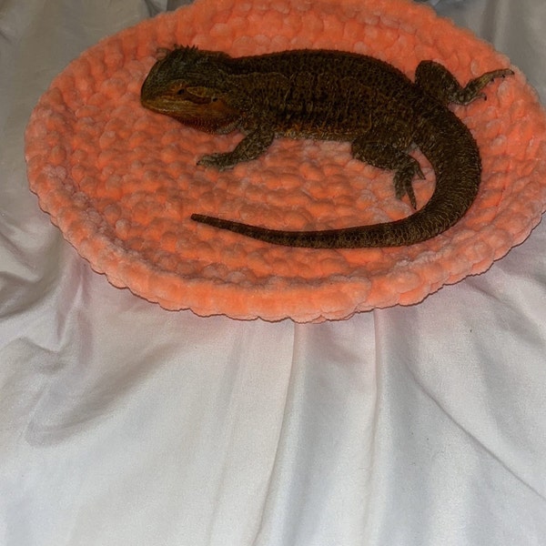 Small Reptile Beds for Leopard Geckos - Etsy