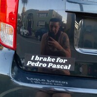 Loch Ness Bumper Sticker I Brake for Cryptids Car Sticker - Etsy