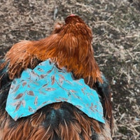 Chicken Diaper/ Hen Diaper/ Rooster Diaper/ Poultry Diaper/standard ...
