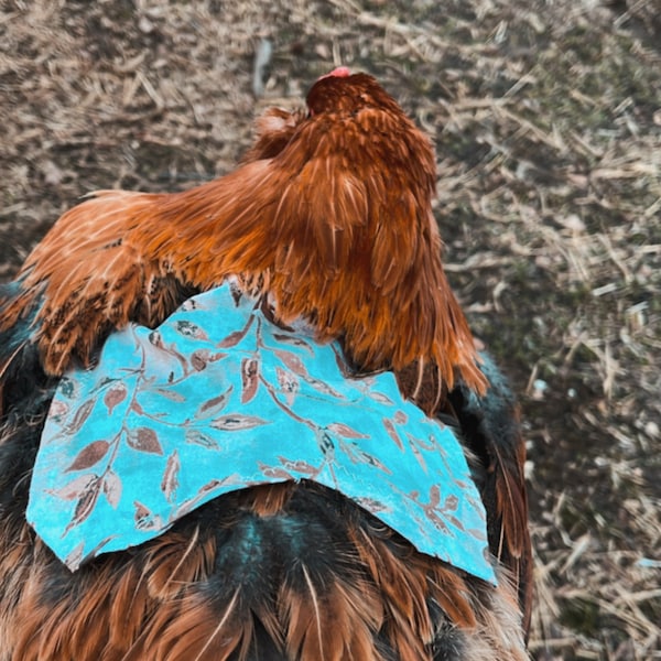 Chicken Diapers/ Hen Diapers/ Birds Diapers/rooster Diaper - Etsy