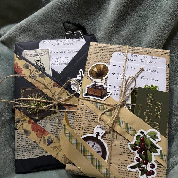 Blind Date With a Book, Cottagecore, Bookish Gift, Gift for Reader ...