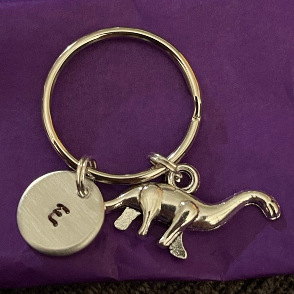 Initial Dinosaur Keyring, Hand Stamped Keyring, Dinosaur Keyring ...