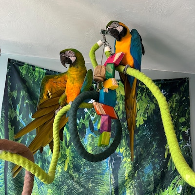 Macaw Ladder, Large Bird Toy - Etsy