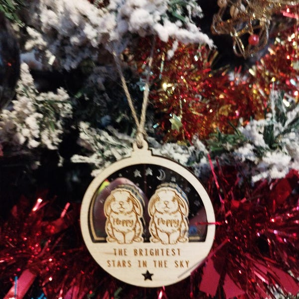 Personalised Tarantula Christmas Decoration, Custom Tarantula Christmas ...