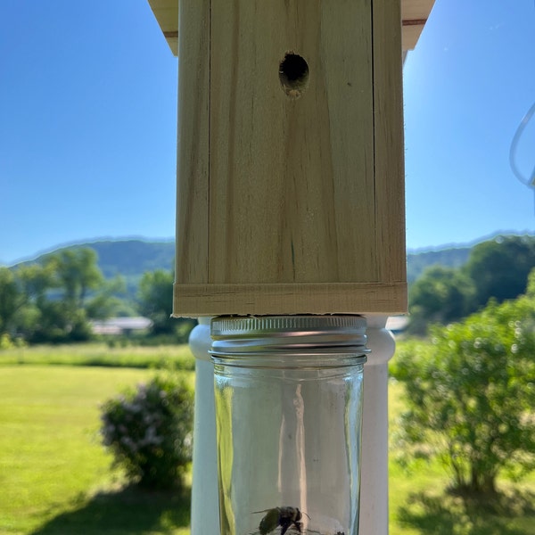 Best Carpenter Bee Trap chalet Style Carpenter Bee Trap wood Boring Bee ...