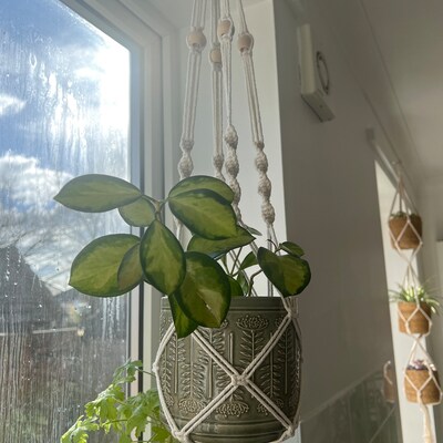 Macrame Ceiling Plant Hanger Indoor, Hanging Wall Planter, Macrame Wall ...