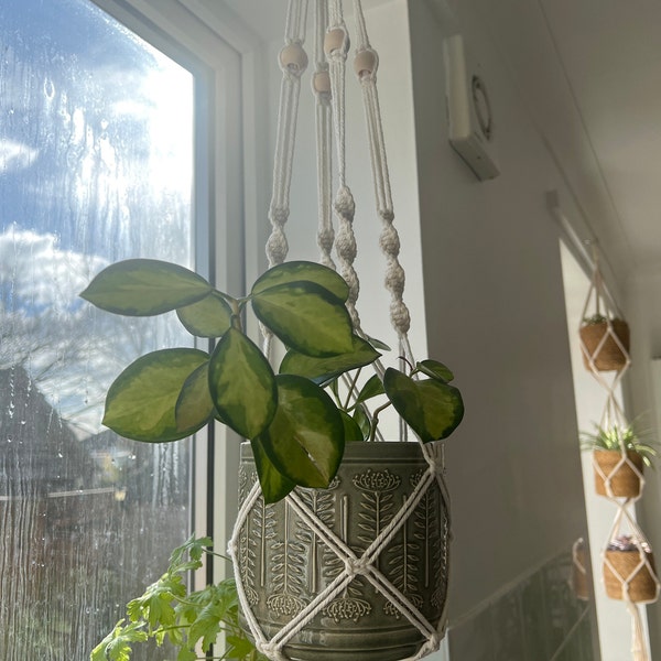 Macrame Ceiling Plant Hanger Indoor, Hanging Wall Planter, Macrame Wall ...
