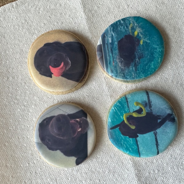 2 Dozen Mini Edible Photo Cookies Graduation - Etsy