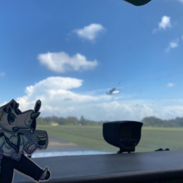 Chibi Dove 1.25 Inch Button Pin- Mourning Dove/luzon Bleeding Heart ...