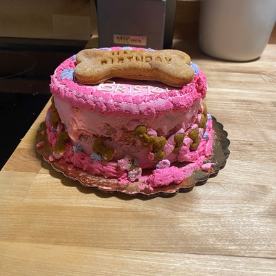 Colorful Dog Cake - Etsy