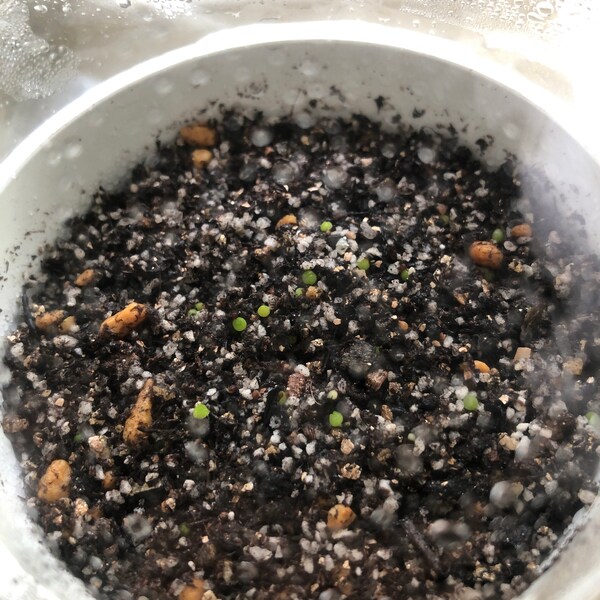 Easter Spring April Classroom Door Decor and Bulletin Board Kits Print ...