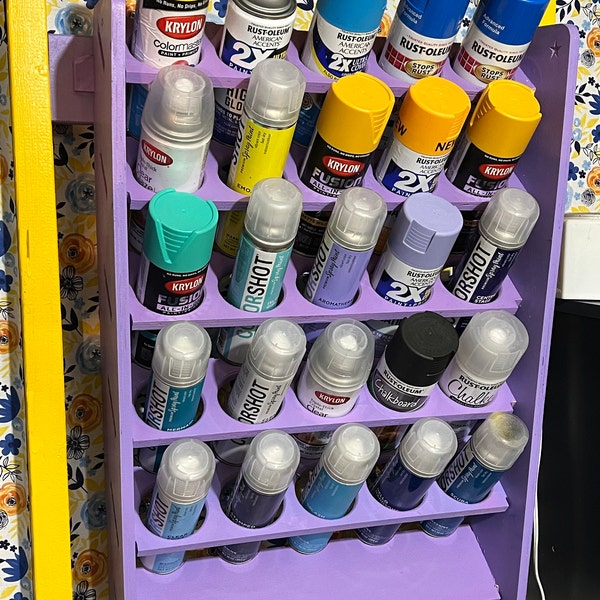 Larger Capacity, 25 Can Spray Paint Rattle Can Organizer. Comes With ...