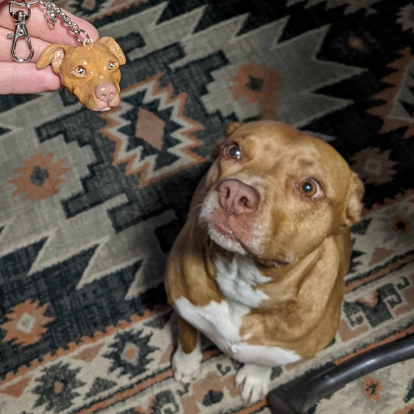 The Spay Neuter Coloring Book, Spay Oklahoma, Animal Rescue, Dog Cat ...