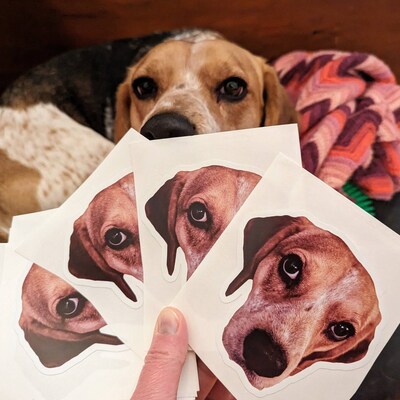 Custom Face Stickers Personalized Face Stickers Birthday - Etsy
