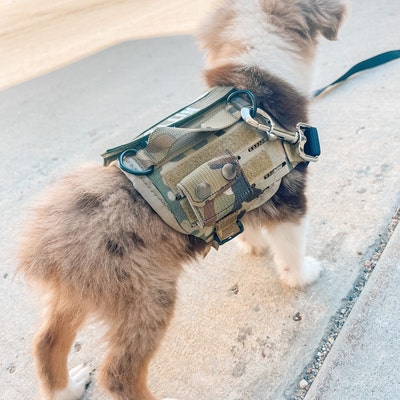 STINKY POOP Morale Patch - Etsy