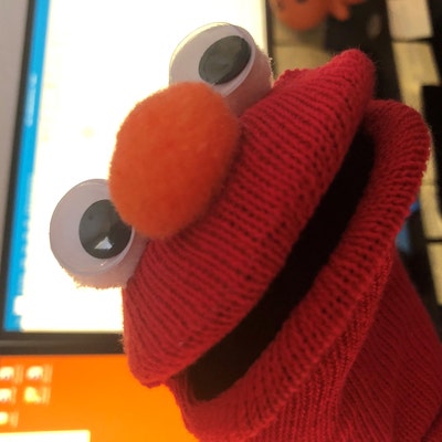 Sassy Chick Sock Puppet - Etsy