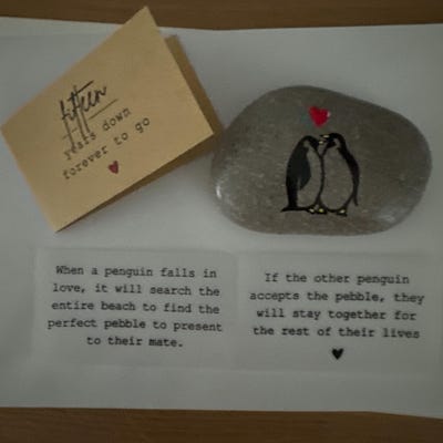 Penguin Pebble Romantic Gift for Girlfriend Boyfriend Small Anniversary ...