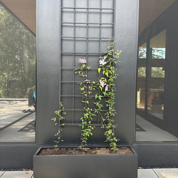 Jumbo Trellises, Multiple Sizes, Classic Metal Garden Trellis, Commercial, Residential, Estate ...