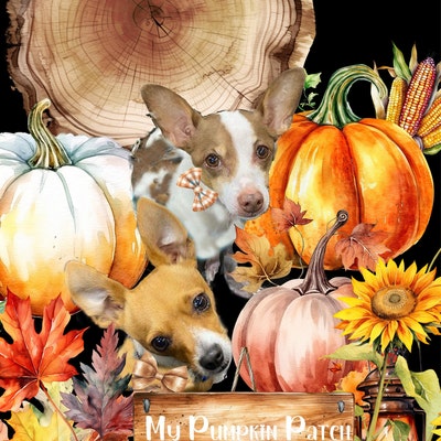 Peach and Black Floral Digital Paper Shabby Black and Blush - Etsy