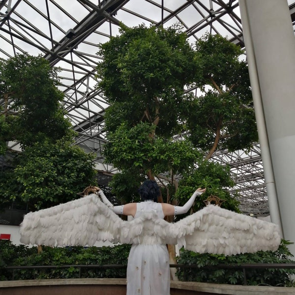 Articulating Wing Frame Small Sideways, 165cm/5'5" , Lightweight for ...