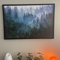 Danger Race Canvas Wall Art Mustang and Challenger Crazy Car - Etsy