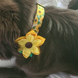 Dog Collar Sunflower Sunflower Dog Collar Collar With Bow - Etsy