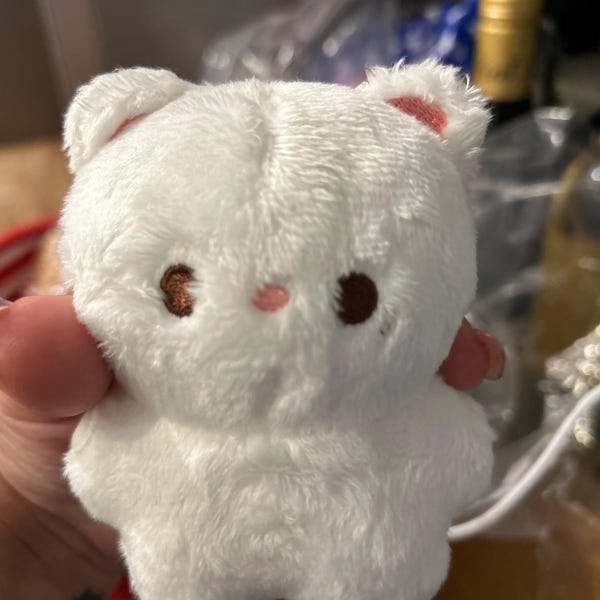 Stray Kids Foxi.ny Skzoo Skz Fanmade 10 Cm Doll - Etsy
