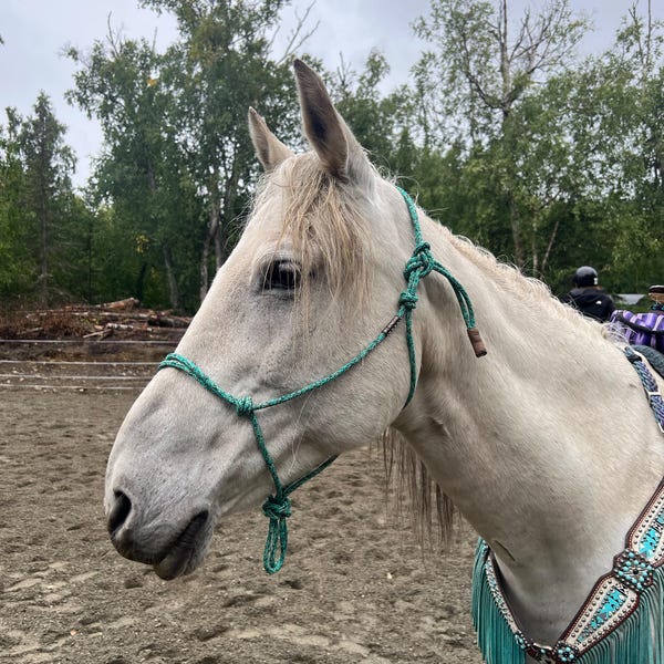 Neck Rope, Liberty Line, Liberty Rope, Bridless Riding - Etsy