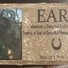 Personalized Horse Pony Memorial Stone. 8x4 Stone Brick. Burial Marker ...