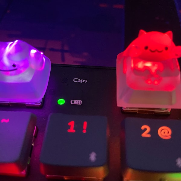 Catty Keycap (bongo Cat Meme Inspired) - Bongo Cat Keycap - Artisan ...