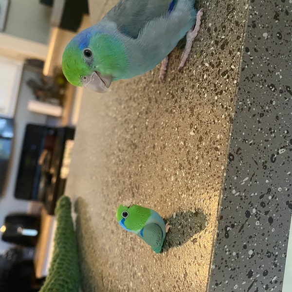 RNA World Postcard - Tacky Postcard, Science Humor - Etsy