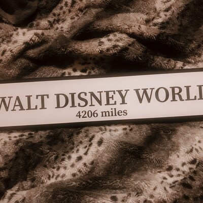 WDW Cast Member Badge Signs Name Tag SVG Disneyworld Cricut - Etsy