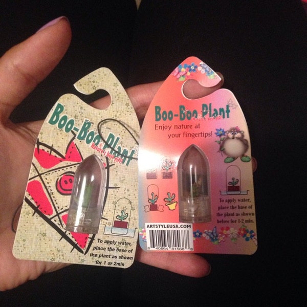 Goldy Cactus-live Terrarium Pet Plant Necklace, Key Chain, Fridge ...