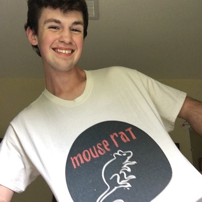 ON SALE Mouse Rat Band Tshirt From Parks and Recreation Scare Crow Boat ...