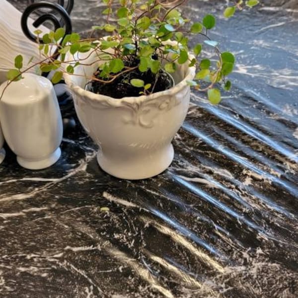 Angel Vine “wire Vine” Plant - Etsy