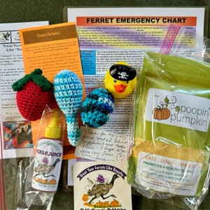 Ferret Emergency Chart and Health Medical Kit List Laminated Quick ...