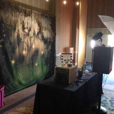 Fairy Twilight Backdrop of Magical Forests Faeries, a Party Decor or ...