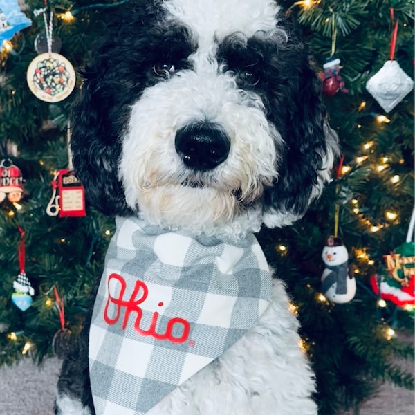 The Ohio State University Brutus Buckeye, Licensed, Over the Collar Dog ...